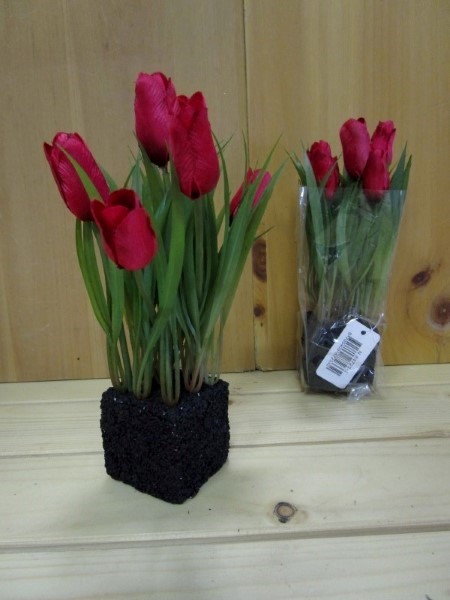 Countryfield rode tulpjes in aarde, 6 stuks (Kavel nr: 407805, Eindtijd ...