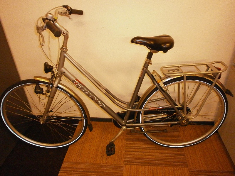 Damesfiets Giant Sydney, 3 Nexes versnellingen, verende zadelpen (Kavel ...